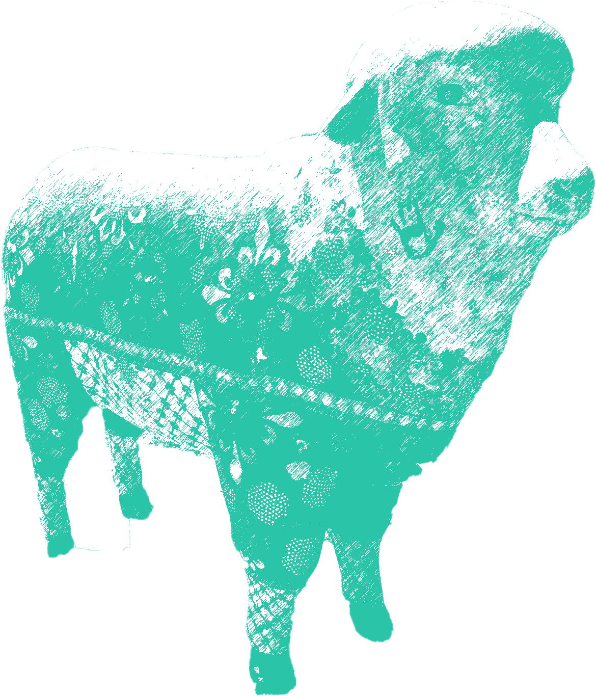 Redefining Modern Luxury In West Texas - Divining Point